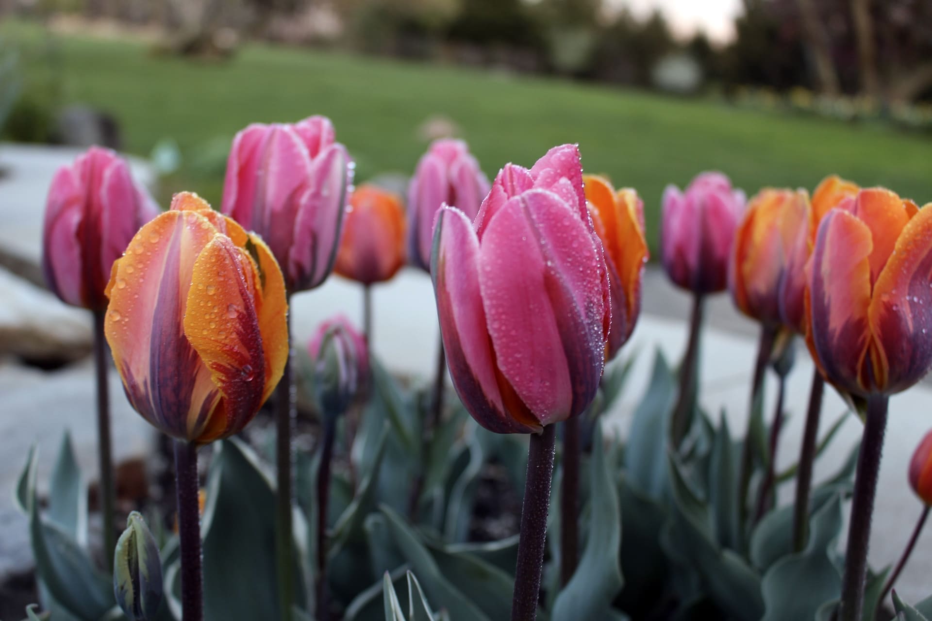 Request A Quote | Silvis Group, Inc.